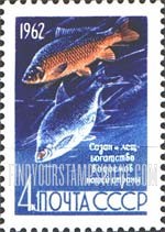 Russia: USSR, Fish Preservation in USSR - Carp and Bream 4k Blue ...