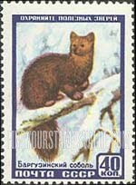 Russia: USSR, Fauna - Sable 40k Multicolored stamp price, value